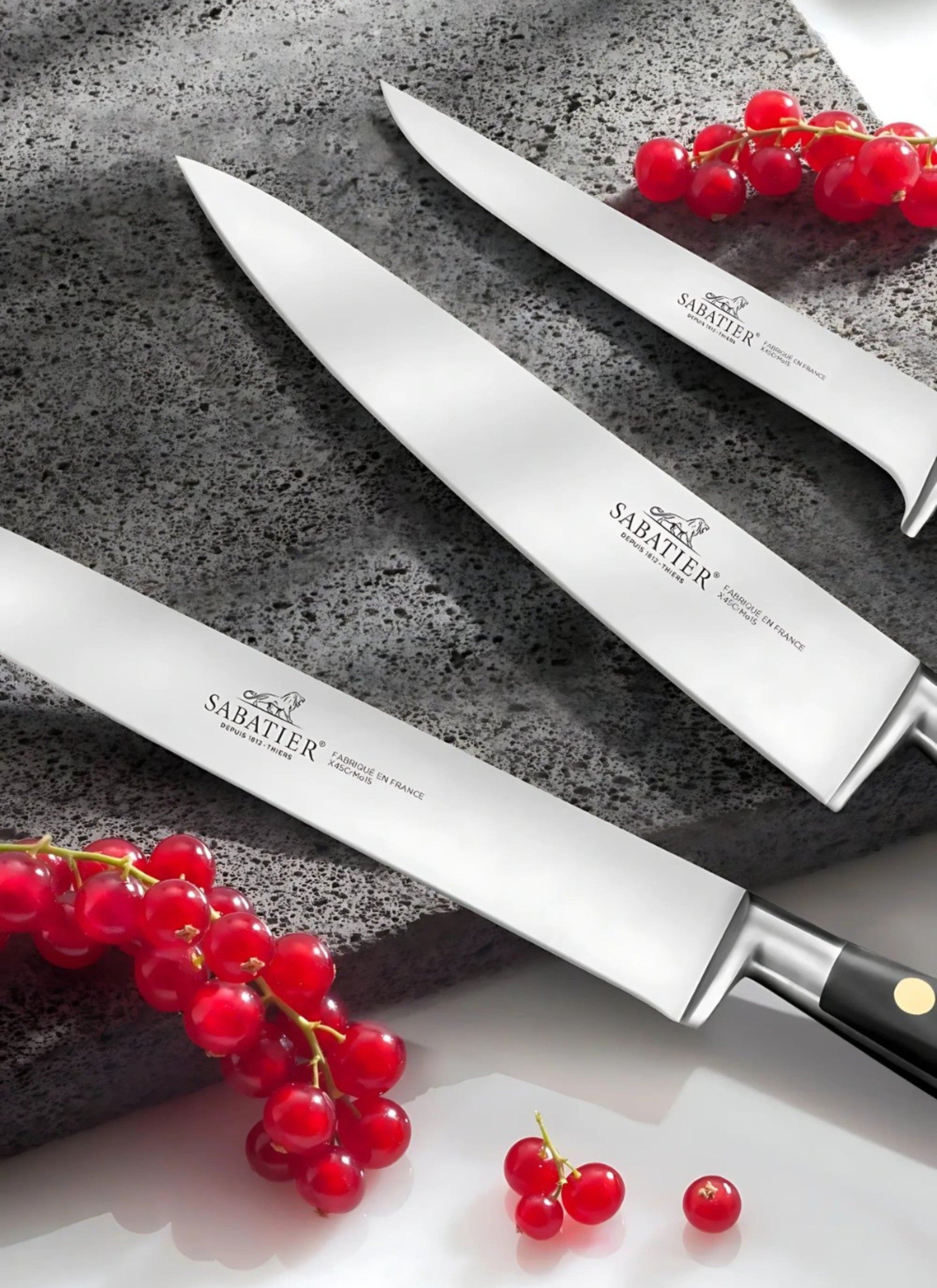 SABATIER – Couteaux de cuisine français | Du Bruit dans la Cuisine